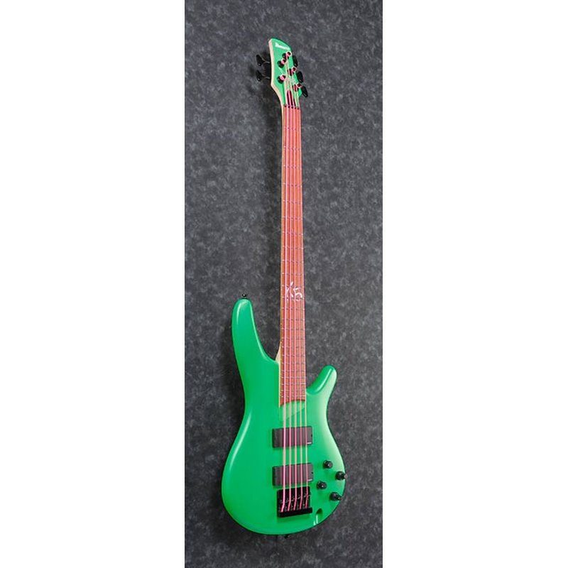 Ibanez K5LTD-FGM Fieldy (KoRn) Signature, 999,00